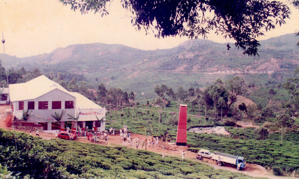 Kannavarai - Discover the Art of Tea with Kannavarai